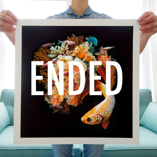 Lisa Ericson – Art & Illustration