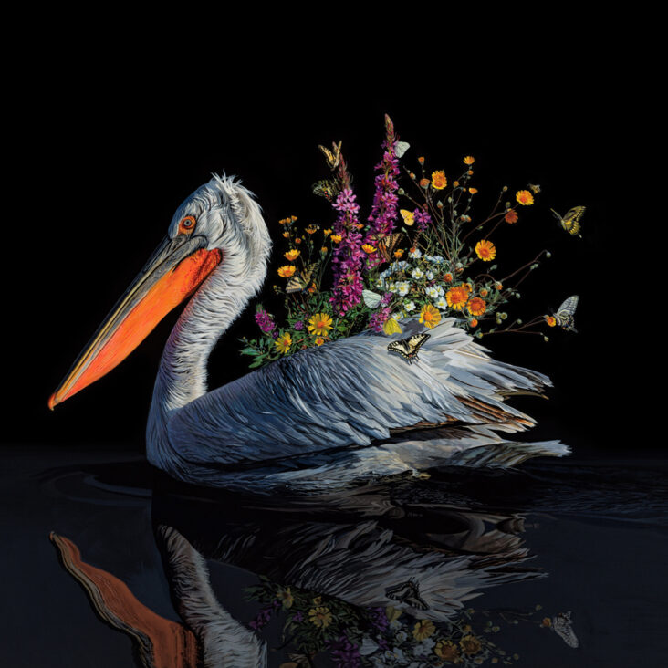 Portfolio – Lisa Ericson