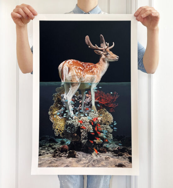 Lisa Ericson – Art & Illustration