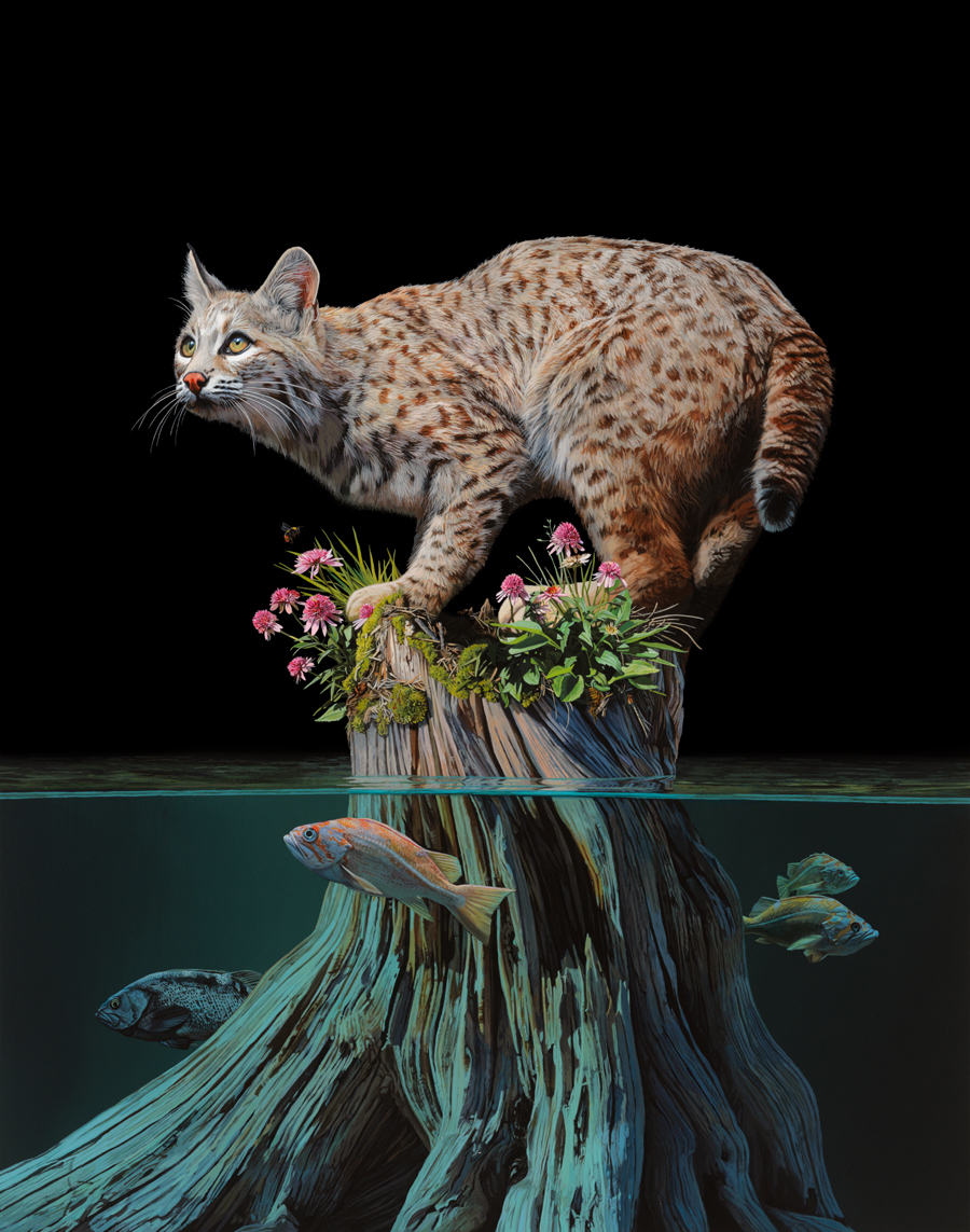 Lisa Ericson – Art & Illustration